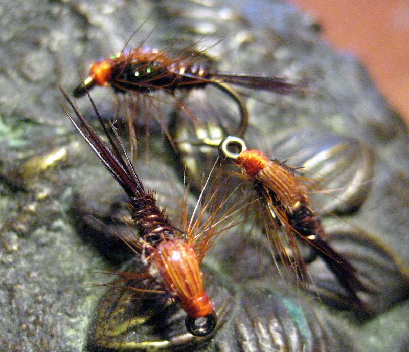 FlySpoke: The Little Black Caddis